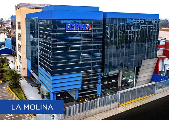 ICPNA - Trayectoria Institucional